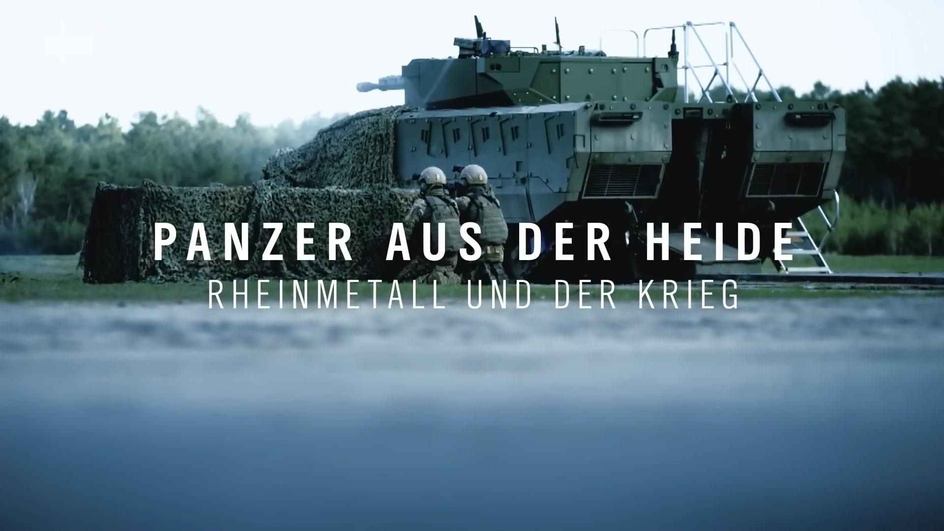 Panzer aus der Heide - Rheinmetall und der Krieg